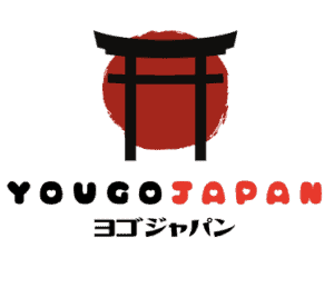 11 Japanese High-end Audio Brands – YouGoJapan
