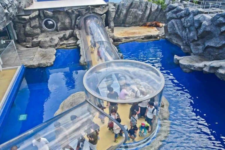 7 Best Aquariums In Japan To Visit – YouGoJapan