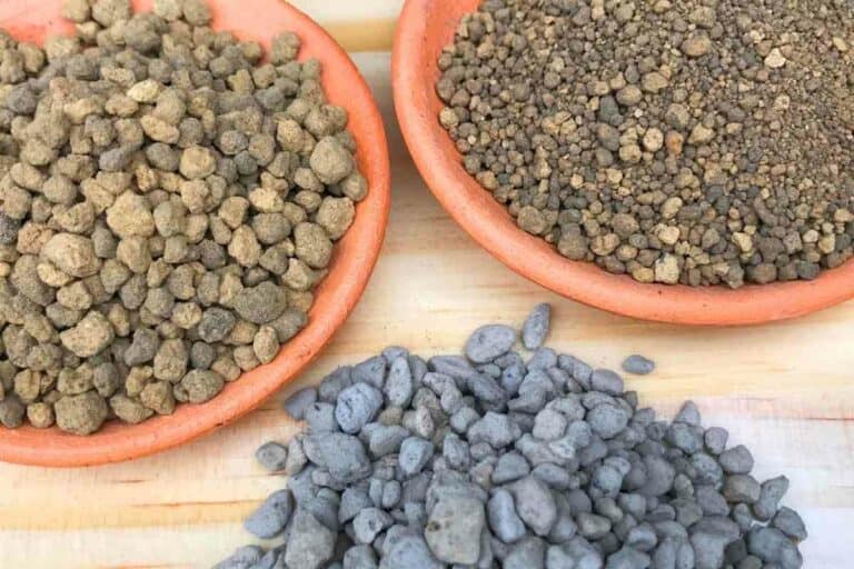 What Is Akadama Soil? – YouGoJapan