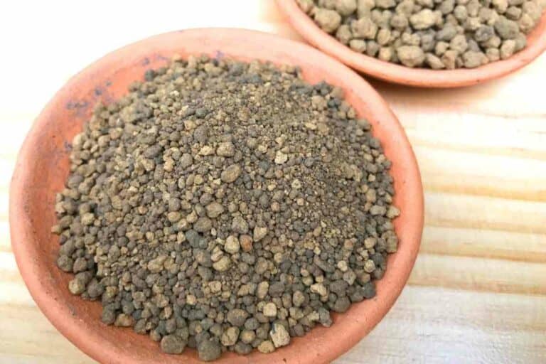 What Is Akadama Soil? – YouGoJapan