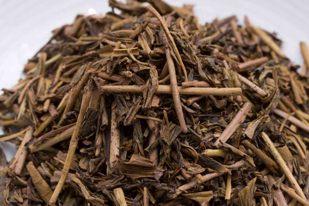 Hōjicha Benefits You Should Know (焙じ茶) – YouGoJapan