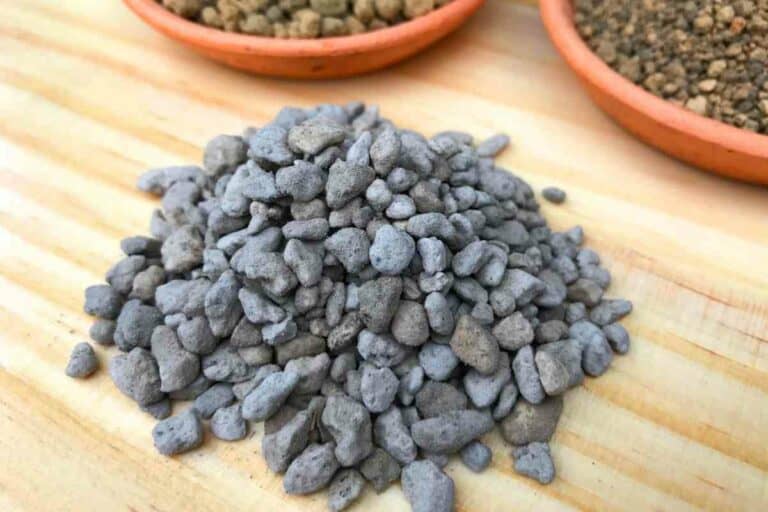 What Is Akadama Soil? – YouGoJapan