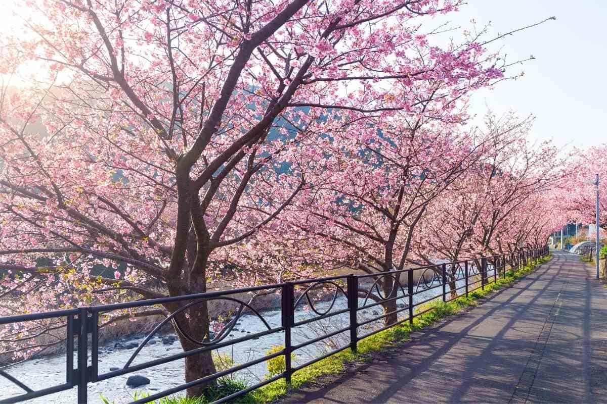 Japanese Symbolism in Art Explained – YouGoJapan