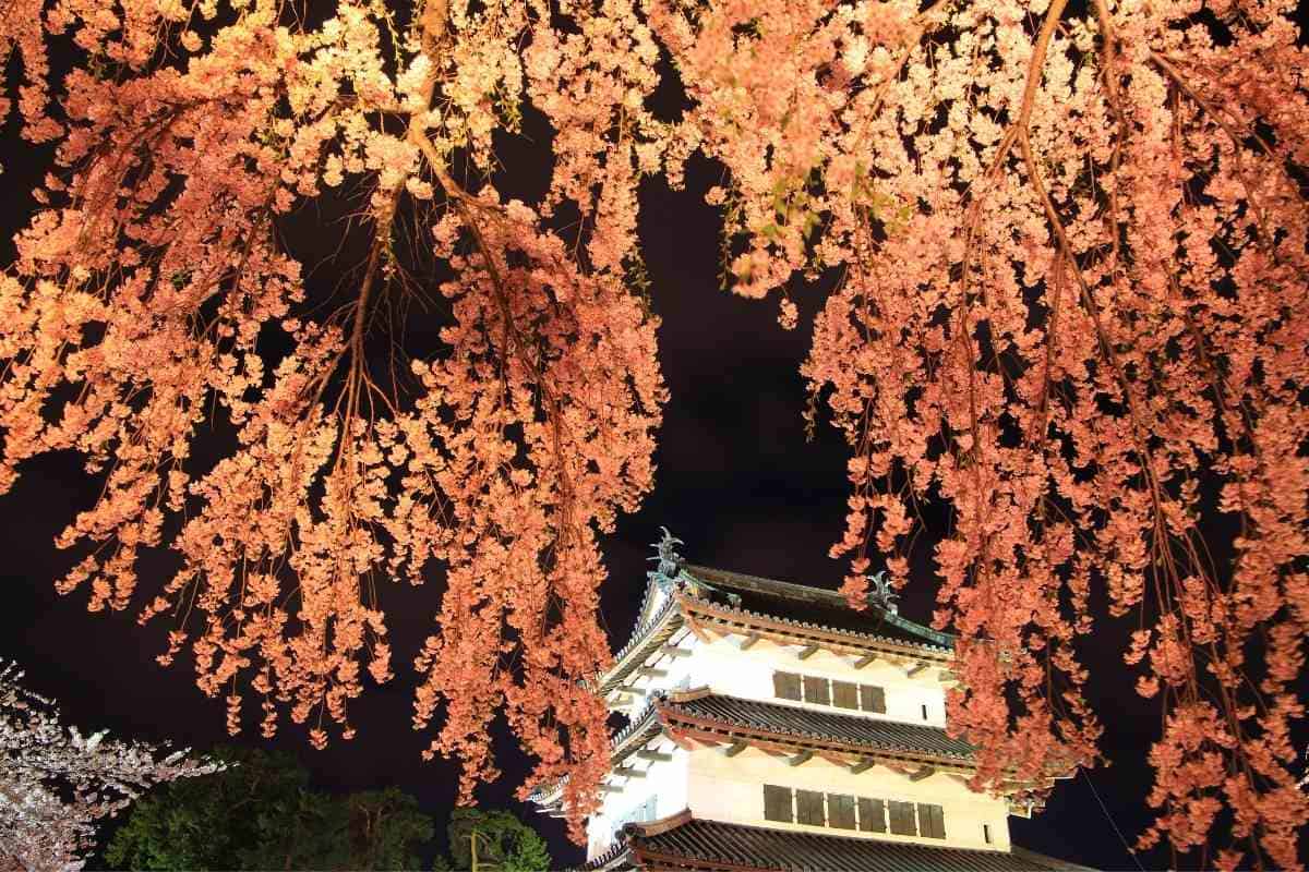 15 Best Places to Visit in Japan in Spring – YouGoJapan