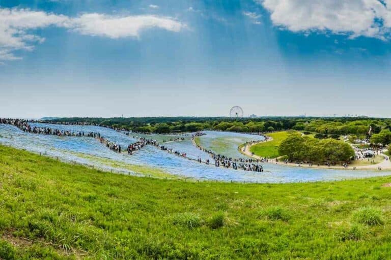 15 Best Places to Visit in Japan in Spring – YouGoJapan