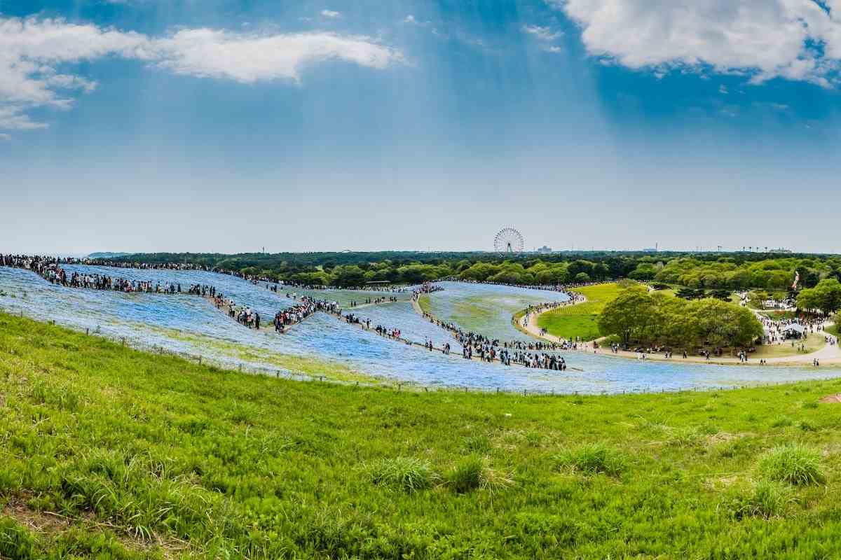 15 Best Places to Visit in Japan in Spring – YouGoJapan