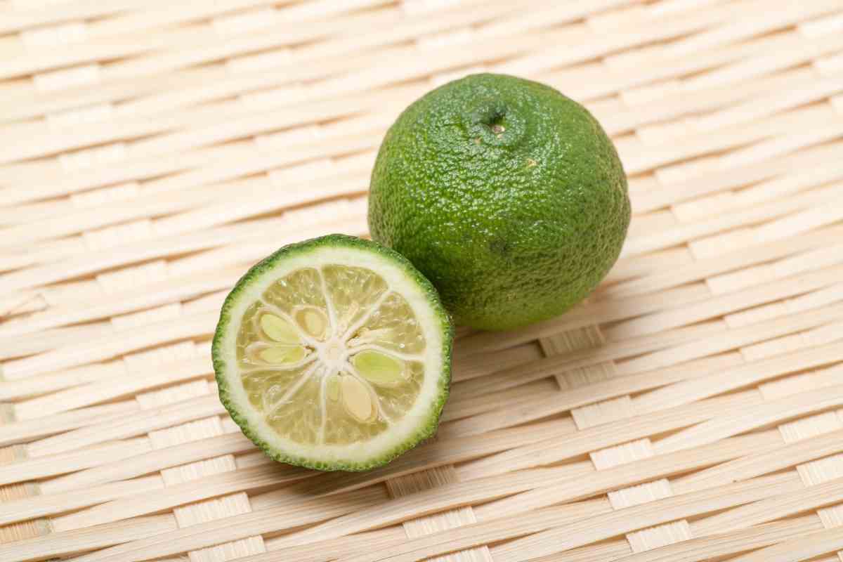 18 Japanese Fruits (Grown and Loved in Japan) – YouGoJapan