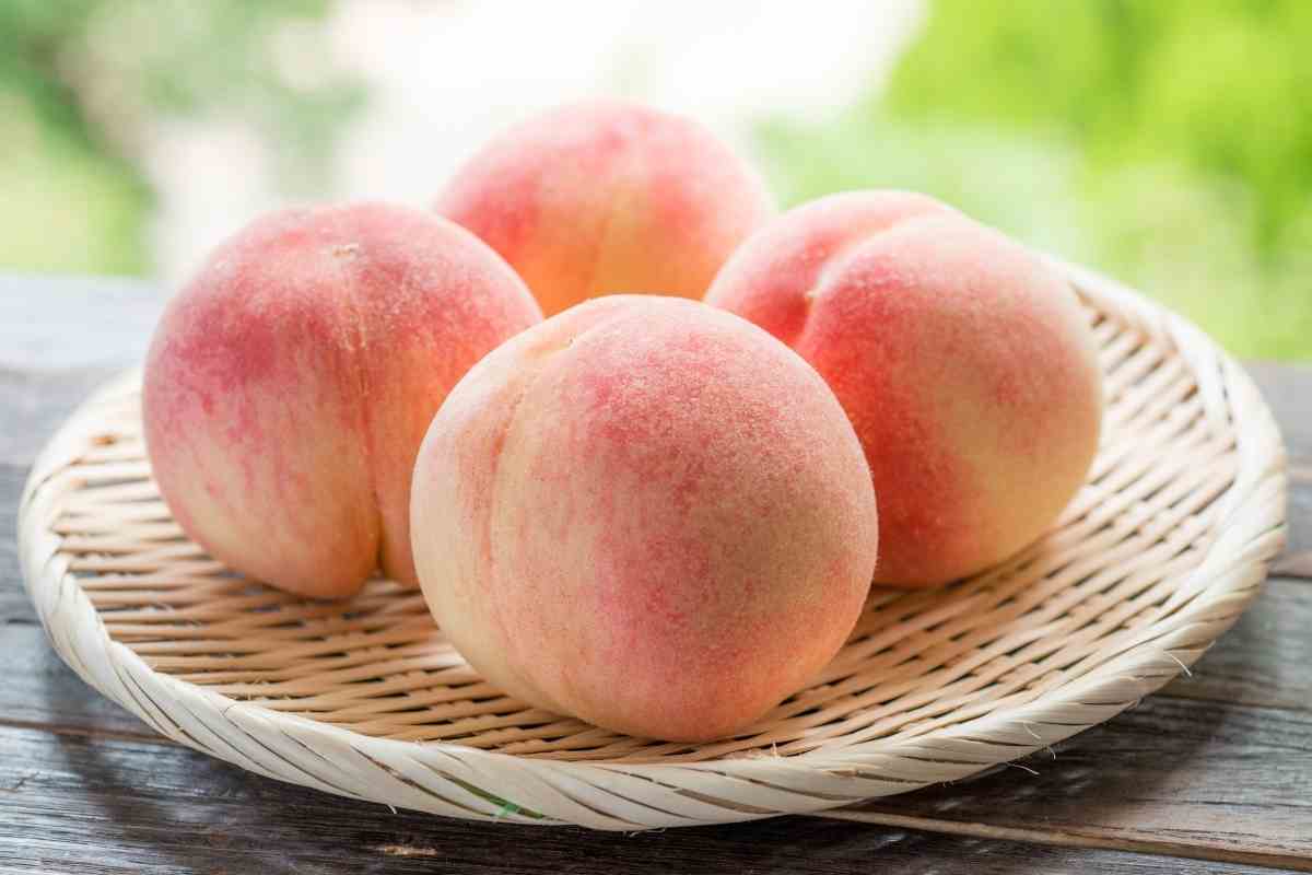 18 Japanese Fruits (Grown and Loved in Japan) – YouGoJapan