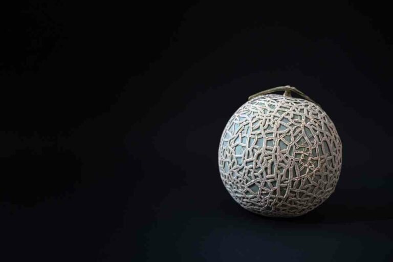 18 Japanese Fruits (Grown and Loved in Japan) – YouGoJapan