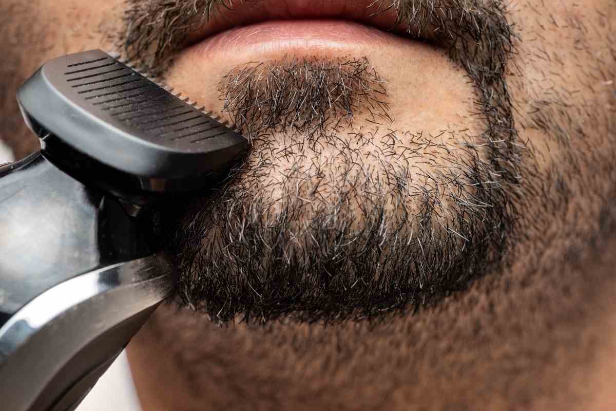 Can Japanese Men Grow Beards? (Culture and Beard styles) – YouGoJapan