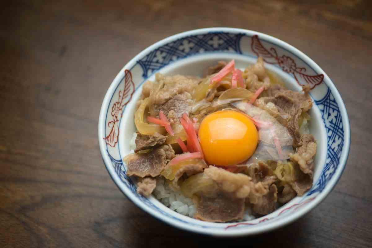11 Types of Donburi (Amazing Dishes to Try in Japan) – YouGoJapan