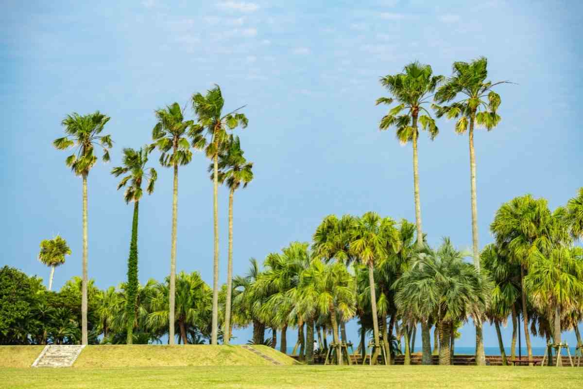 Miyazaki Itinerary – Best Things to Do and See In Miyazaki – YouGoJapan