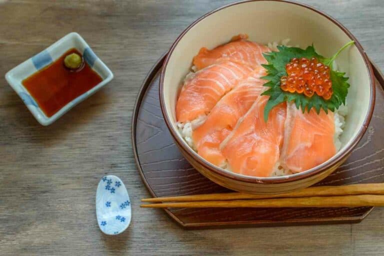 11 Types of Donburi (Amazing Dishes to Try in Japan) – YouGoJapan