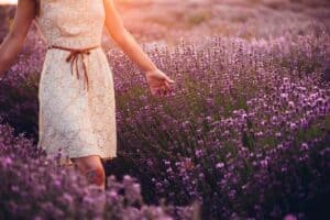 21 Most Popular Japanese Flowers And Their Meanings – YouGoJapan