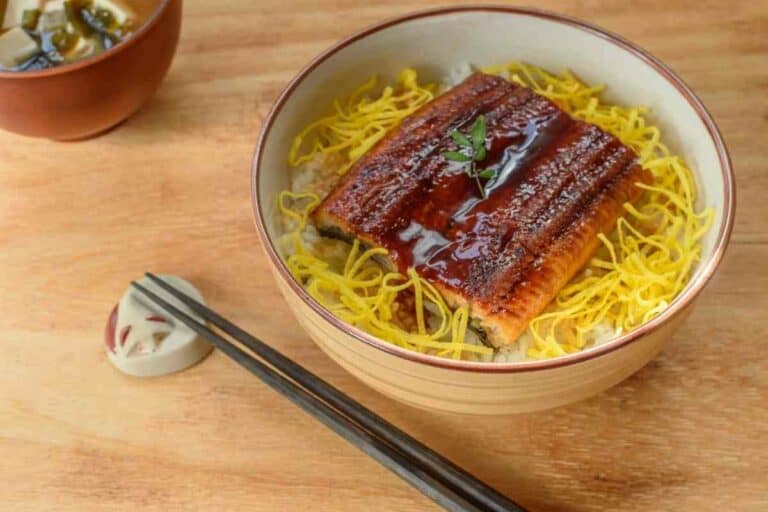 11 Types of Donburi (Amazing Dishes to Try in Japan) – YouGoJapan