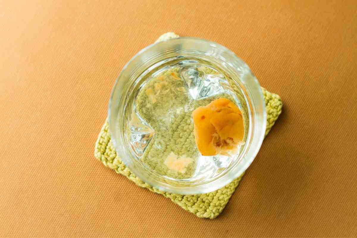 Can You Eat the Plums in Choya? – YouGoJapan