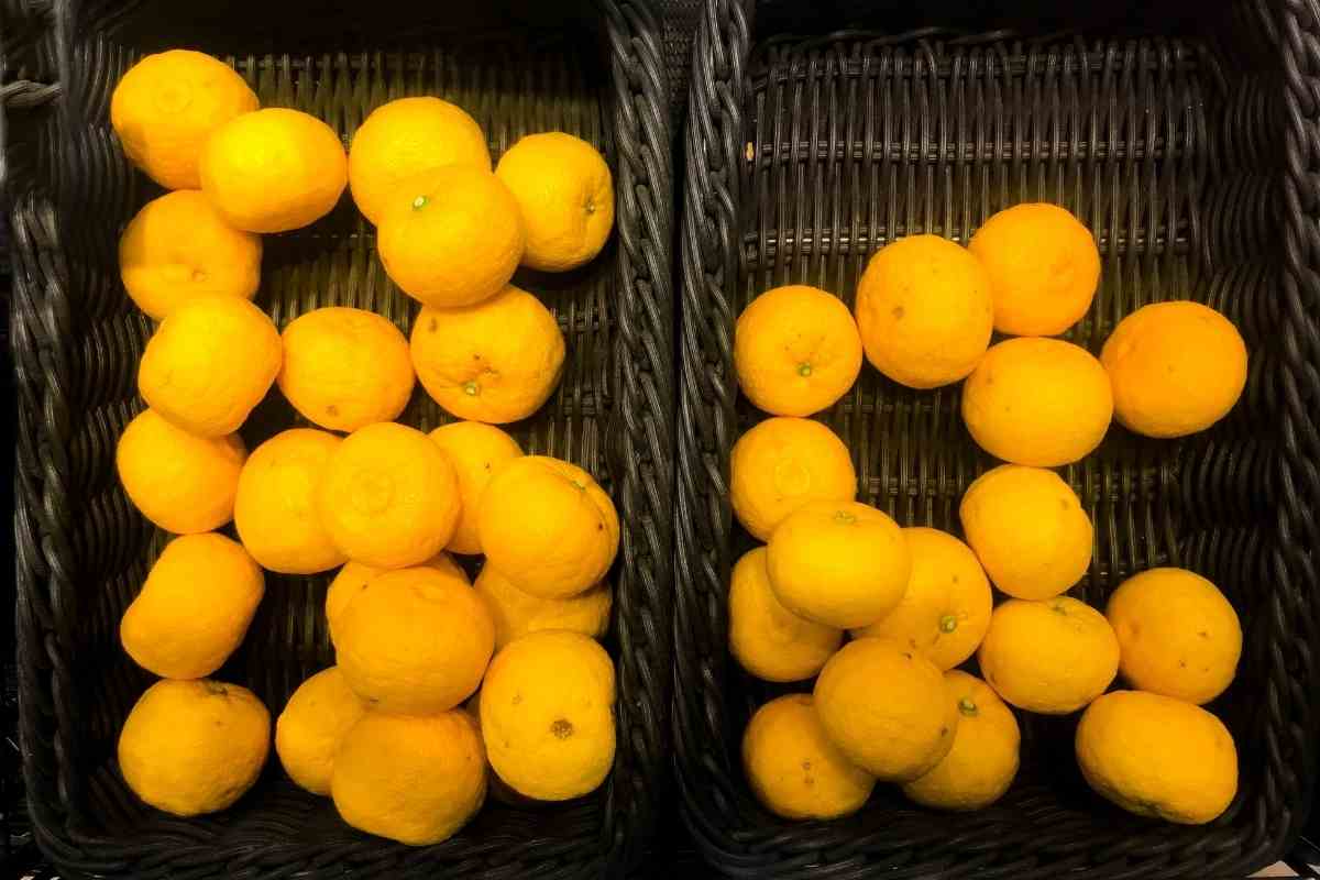 Yuzu Vs Lemon Compared – What’s The Difference? – YouGoJapan