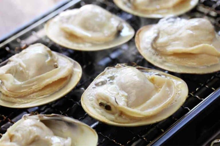 23 Types of Nigiri Sushi You Should Know – YouGoJapan