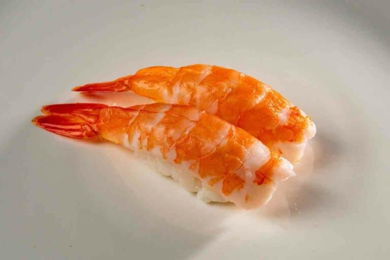 23 Types of Nigiri Sushi You Should Know – YouGoJapan