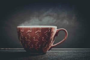 Shiitake Mushroom Tea Guide (And How to Make It) – YouGoJapan
