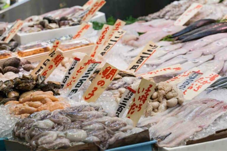 Famous Fish Markets in Tokyo: Visiting Tips & Best Markets – YouGoJapan
