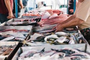 Famous Fish Markets in Tokyo: Visiting Tips & Best Markets – YouGoJapan