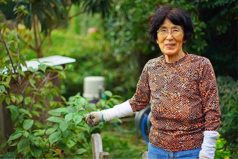 The Role of Grandmothers In Japanese Culture – YouGoJapan