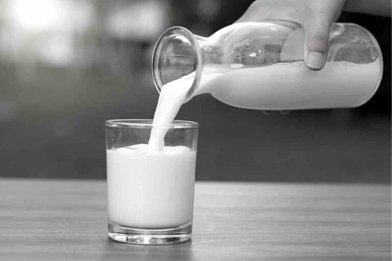 Milk In Japan (Your Guide to Purchasing Milk and Milk Types) – YouGoJapan