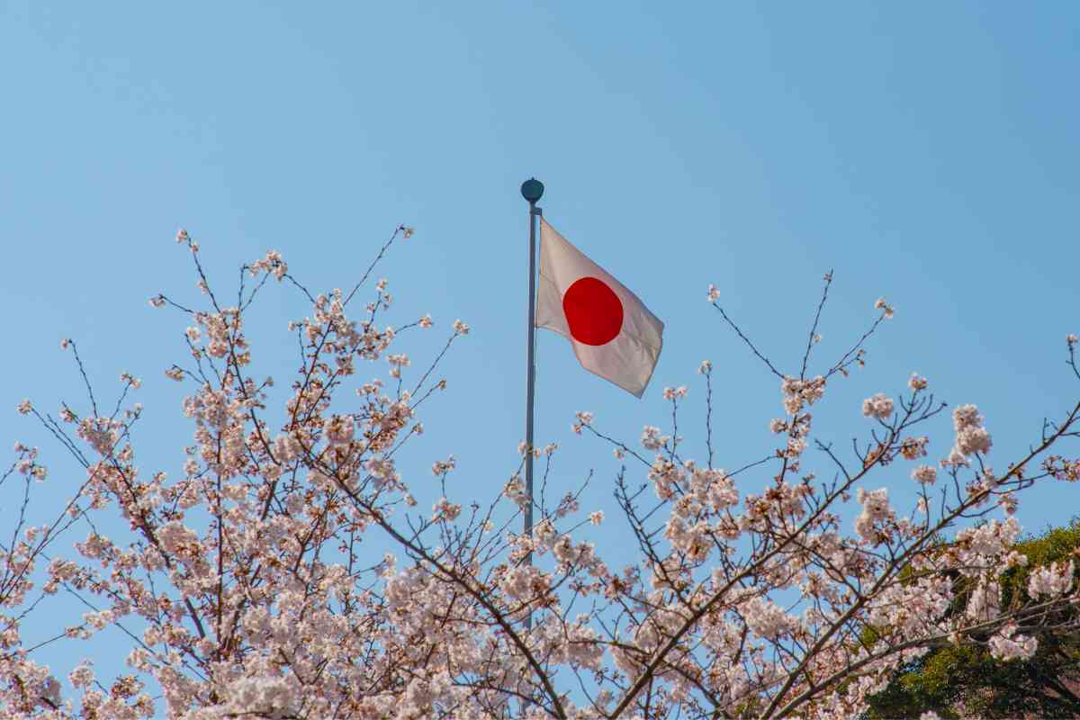 Rising Sun Flag – History and Other Flags in Japan – YouGoJapan