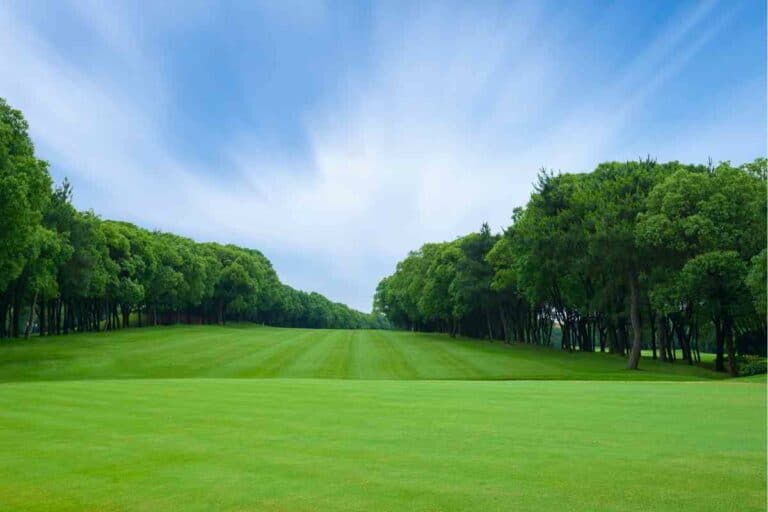 Japan’s Best Golf Courses: World-Class Golf in Japan – YouGoJapan