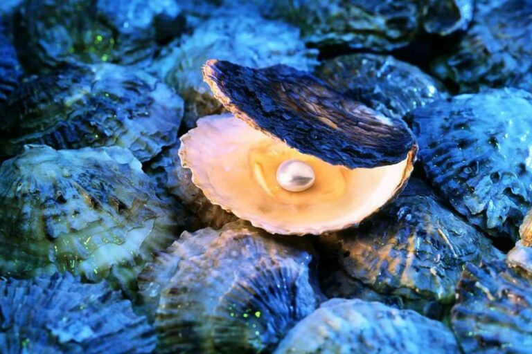 Your Guide Mikimoto Pearl Island: Japan’s Iconic Pearl Farming ...