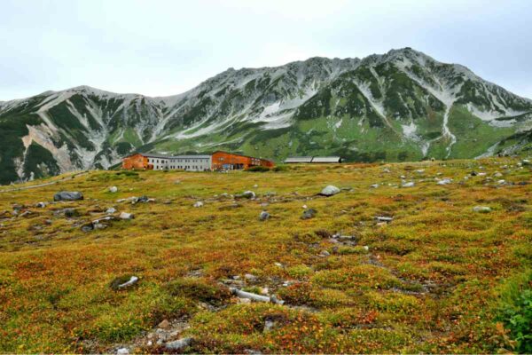 Best Time to Visit Japan Alpine Route – YouGoJapan