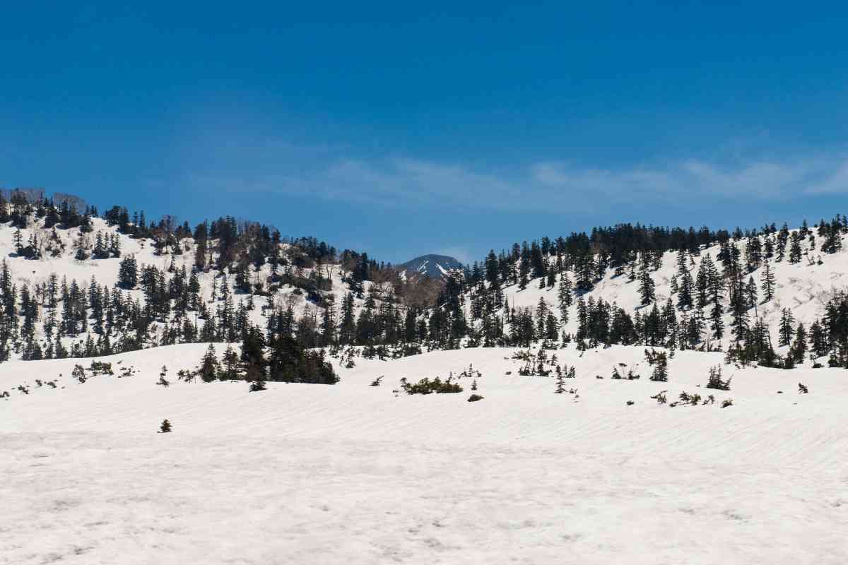 Best Time to Visit Japan Alpine Route – YouGoJapan