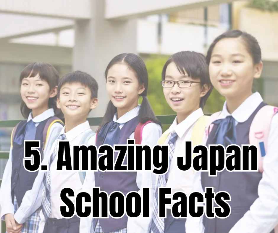 Why Is Origami Important to Japanese Culture? - YouGoJapan